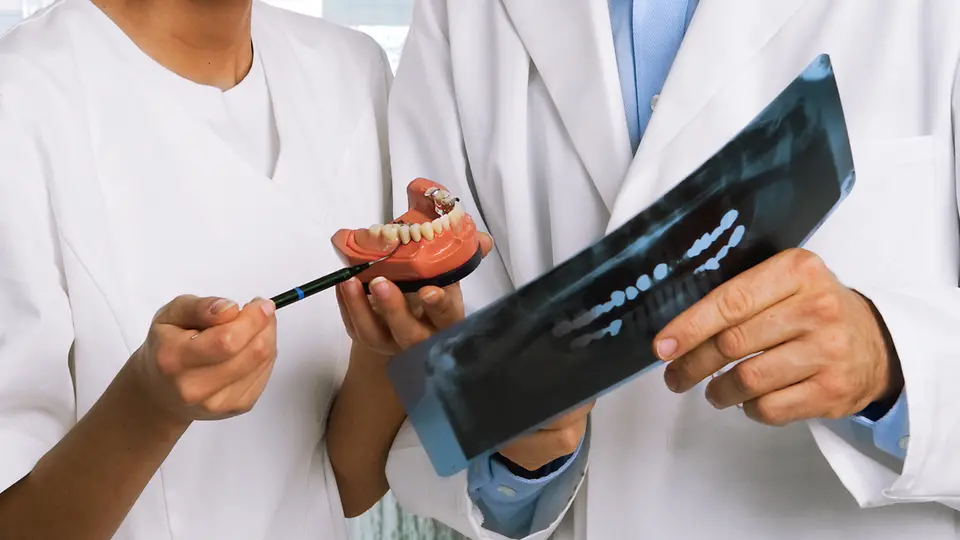 Zahnaufbau des menschlichen Zahns | BARMER