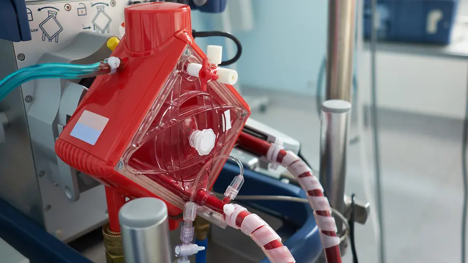 Was ist eigentlich eine Ecmo? | BARMER